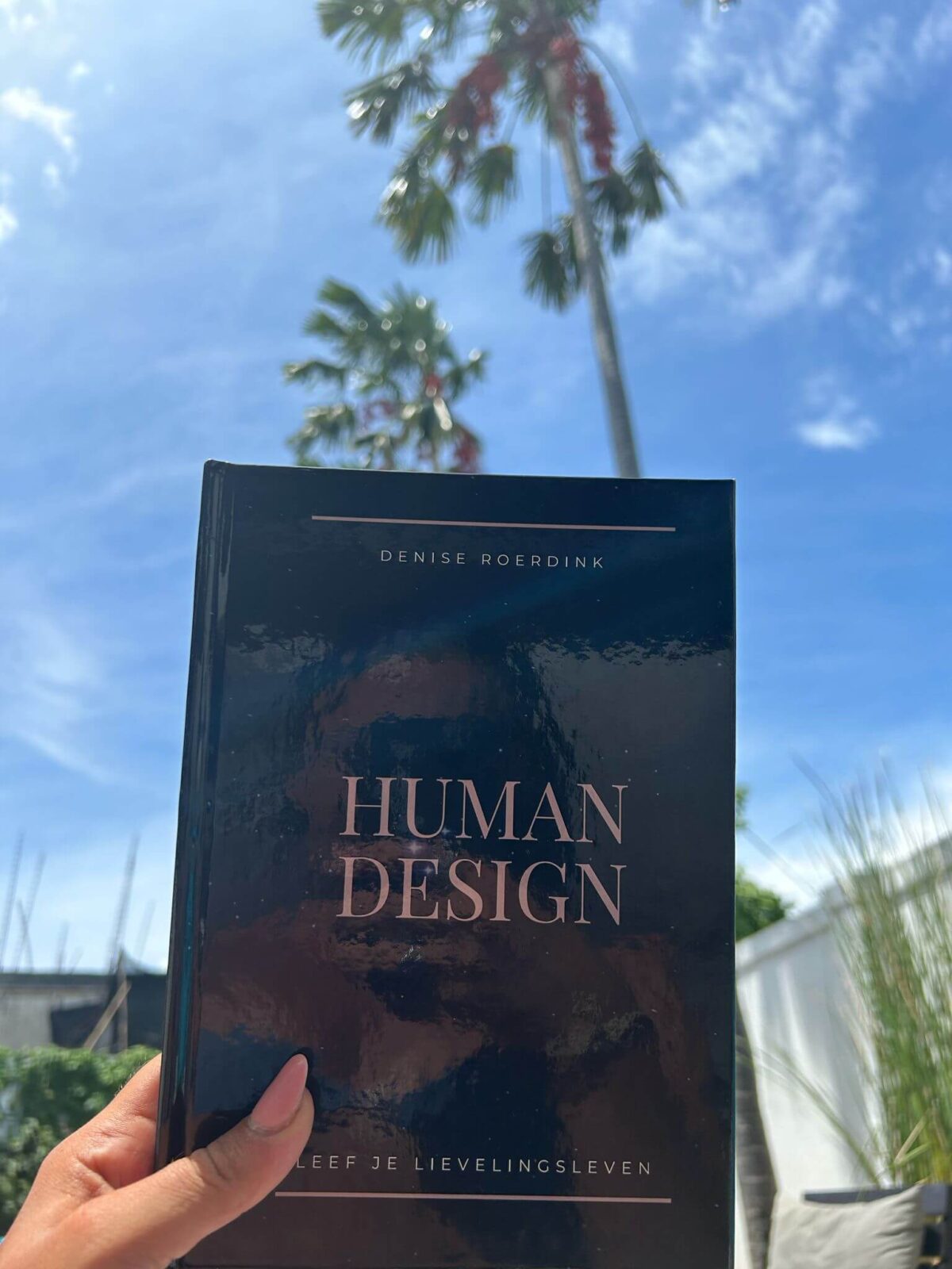 Unlock Your Potential with Your Human Design Blueprint